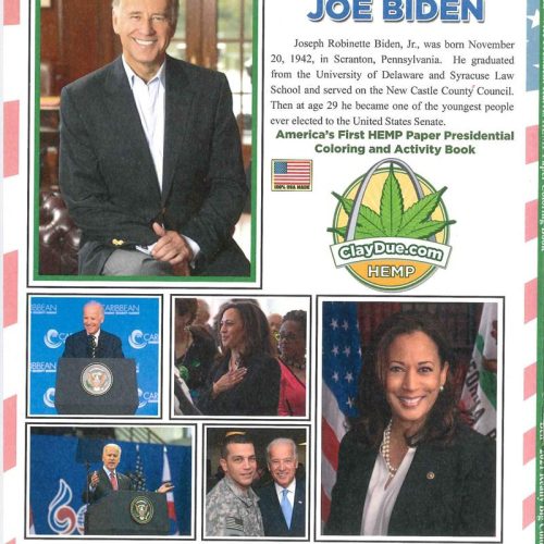 President Biden Coloring Book printed on Hemp Paper 8.5 x 11