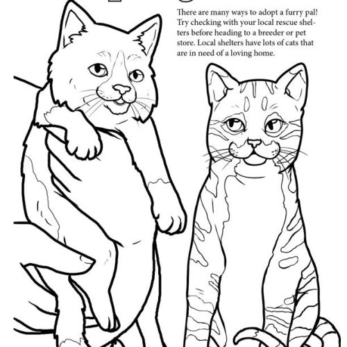Cats Coloring Book
