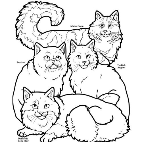 Cats Coloring Book