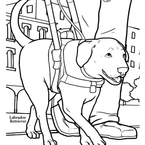 Dogs Coloring Book