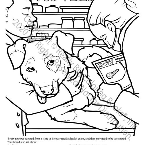 Dogs and Cats Coloring Book