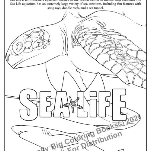 Coloring in Kansas City Coloring Book