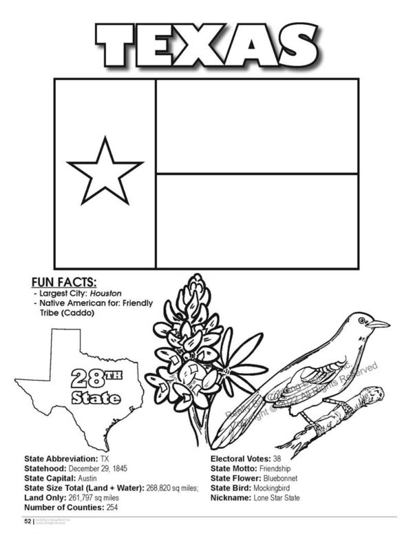 Texas State Coloring Book 8.5 x 11