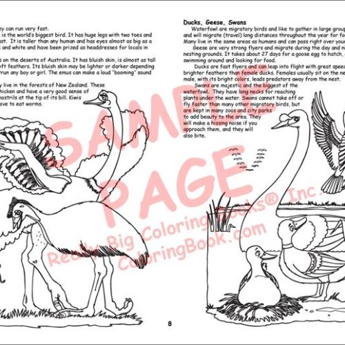 A Day at the Zoo Coloring Book 17 x 11