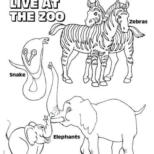 Animals Everywhere Imprint Coloring Book