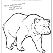 California State Coloring Book 8.5 x 11 - Really Big Coloring Books