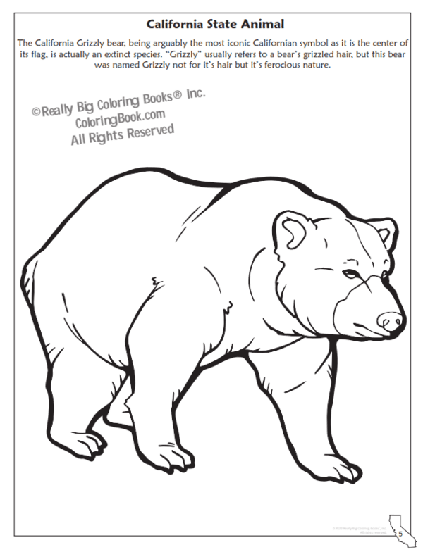 California State Coloring Book