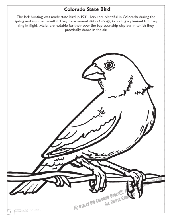 Colorado State Coloring Book