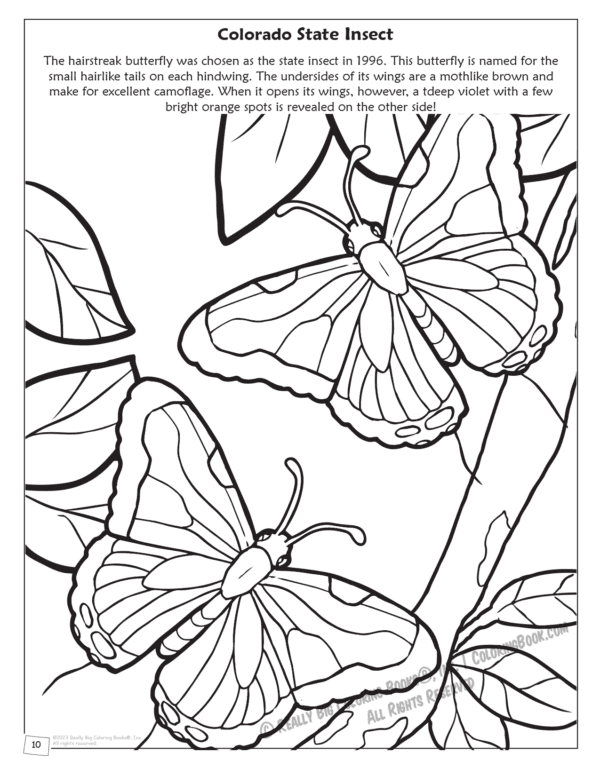 Colorado State Coloring Book