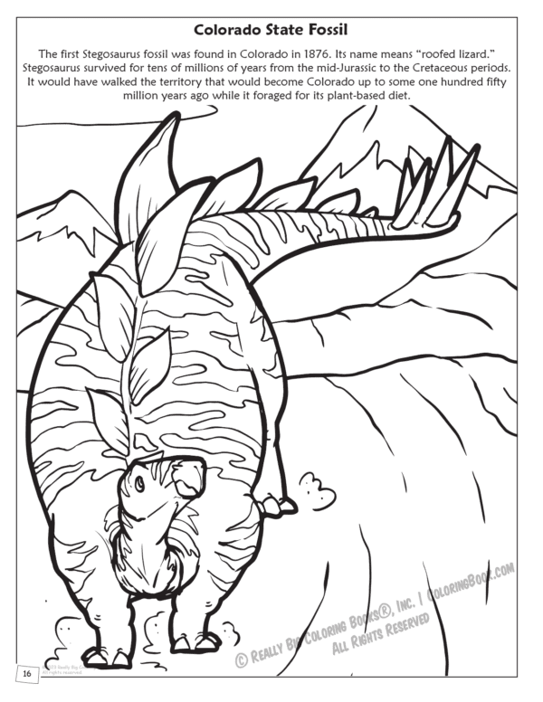 Colorado State Coloring Book