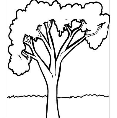 Early Years abc-123 Tablet Imprint Coloring Book (314) 695-5757