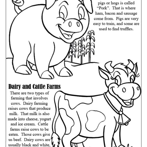 Fun on the Farm Imprint Coloring and Activity Book