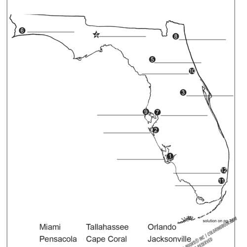 Florida State Coloring Book 8.5 x 11 - Really Big Coloring Books
