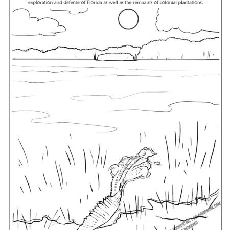 Florida State Coloring Book 8.5 x 11 - Really Big Coloring Books