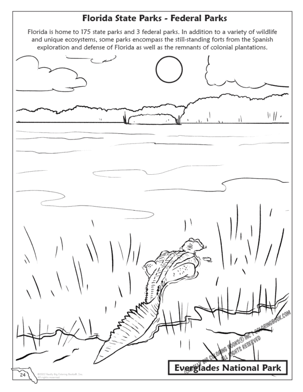 Florida State Coloring Book 8.5 x 11