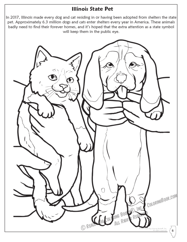 Illinois State Coloring Book 8.5 x 11