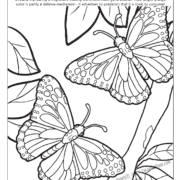 Illinois State Coloring Book 8.5 x 11 - Really Big Coloring Books