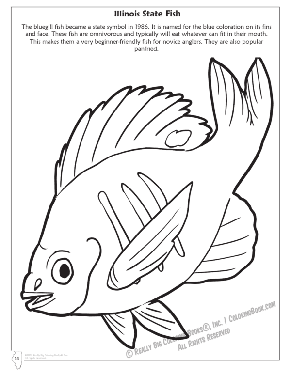 Illinois State Coloring Book 8.5 x 11