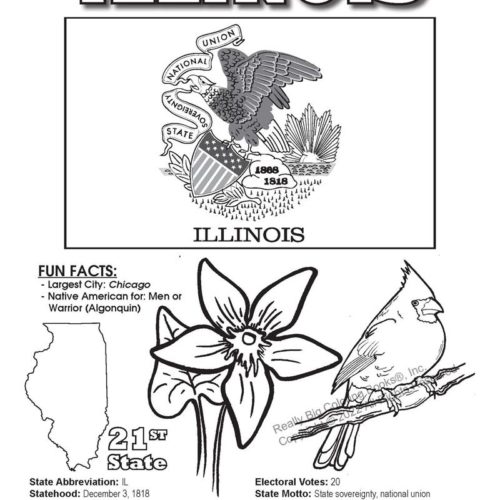 Illinois State Coloring Book 8.5 x 11 - Really Big Coloring Books®