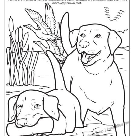 Maryland State Coloring Book 8.5 x 11 - Really Big Coloring Books