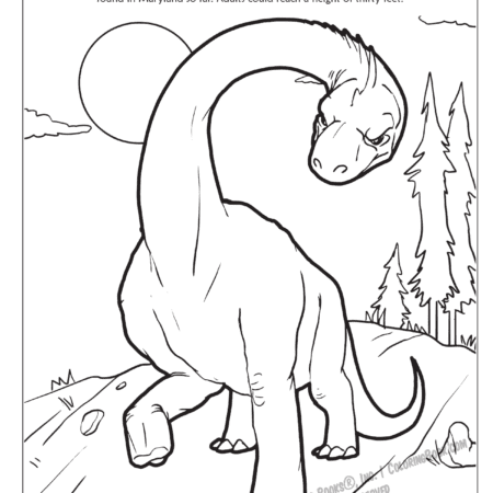 Maryland State Coloring Book 8.5 x 11 - Really Big Coloring Books