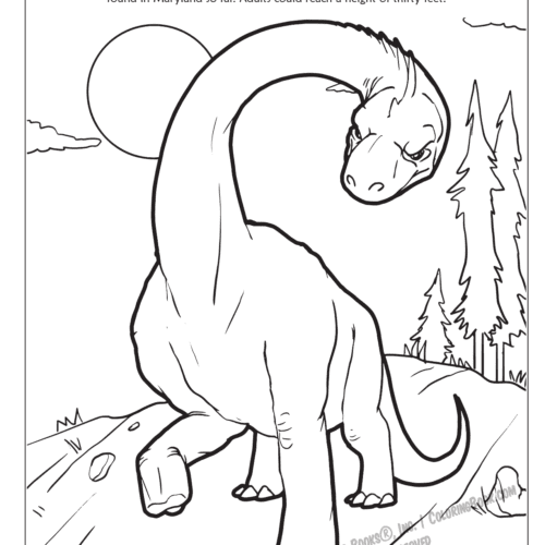 Maryland State Coloring Book 8.5 x 11 - Really Big Coloring Books