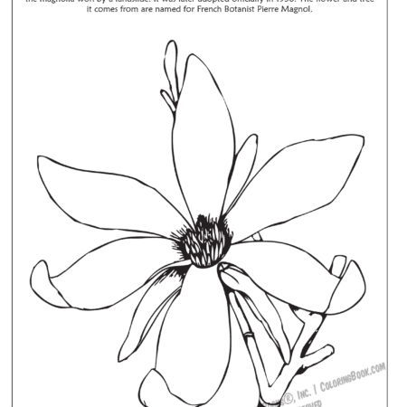 Mississippi State Coloring Book 8.5 x 11