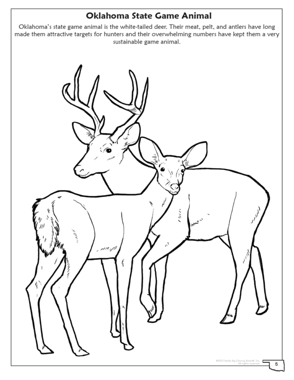 Oklahoma State Coloring Book