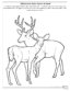 Oklahoma State Coloring Book
