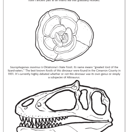 Oklahoma State Coloring Book 8.5 x 11 - Really Big Coloring Books