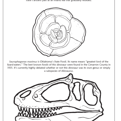 Oklahoma State Coloring Book 8.5 x 11 - Really Big Coloring Books