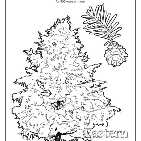 Pennsylvania State Coloring Book 8.5 x 11