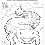Pennsylvania State Coloring Book 8.5 x 11