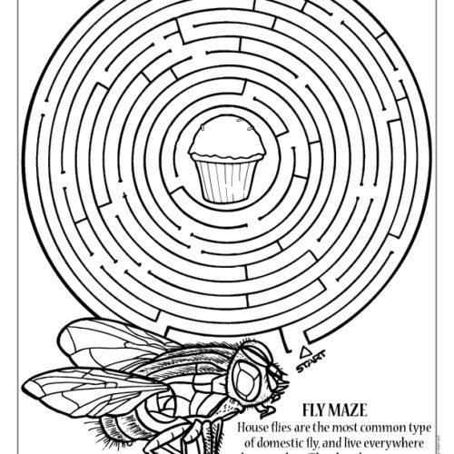 Pest Control Imprint Coloring Book