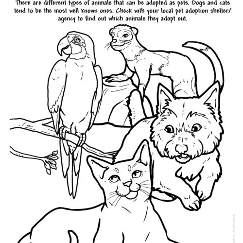 Pet Adoption Imprint Coloring Book