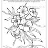 South Carolina State Coloring Book 8.5 x 11