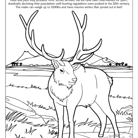 Utah State Coloring Book 8.5 x 11
