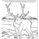 Utah State Coloring Book 8.5 x 11