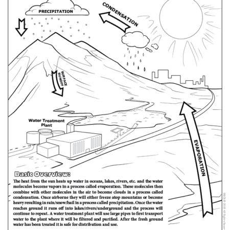 Water Conservation Imprint Coloring Book