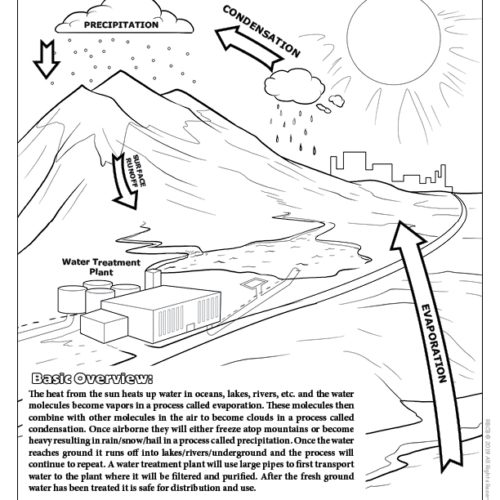Water Conservation Imprint Coloring Book