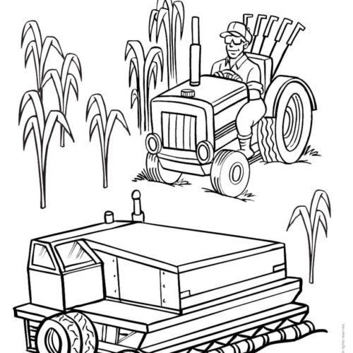Food And Fun On The Farm Coloring Book 12 X 18
