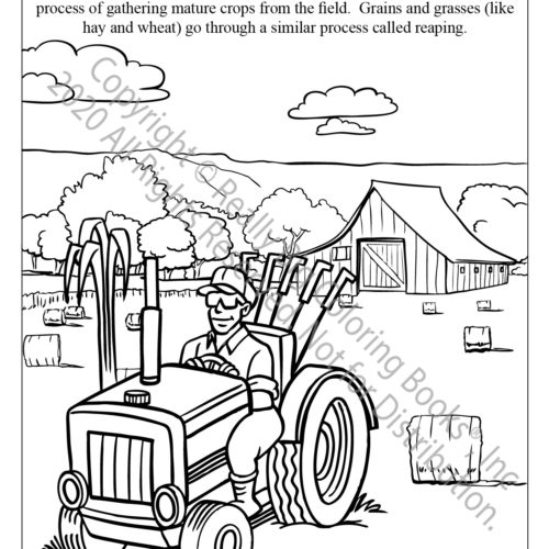 Food and Fun on the Farm Coloring Book 8.5 x 11