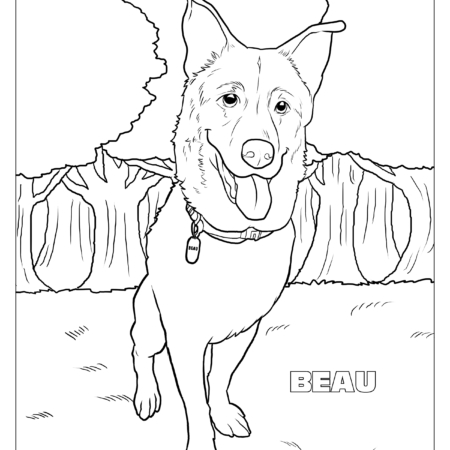 Beau Doggy Coloring Book - ColoringBook.com | Really Big Coloring Books®