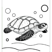 Delaware State Coloring Book