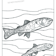 Wyoming State Coloring Book 8.5 x 11